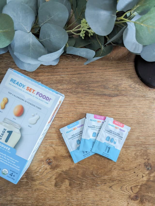 Ready, Set, Food! Allergen Mix-ins: My Full Review - The Gage Made Home
